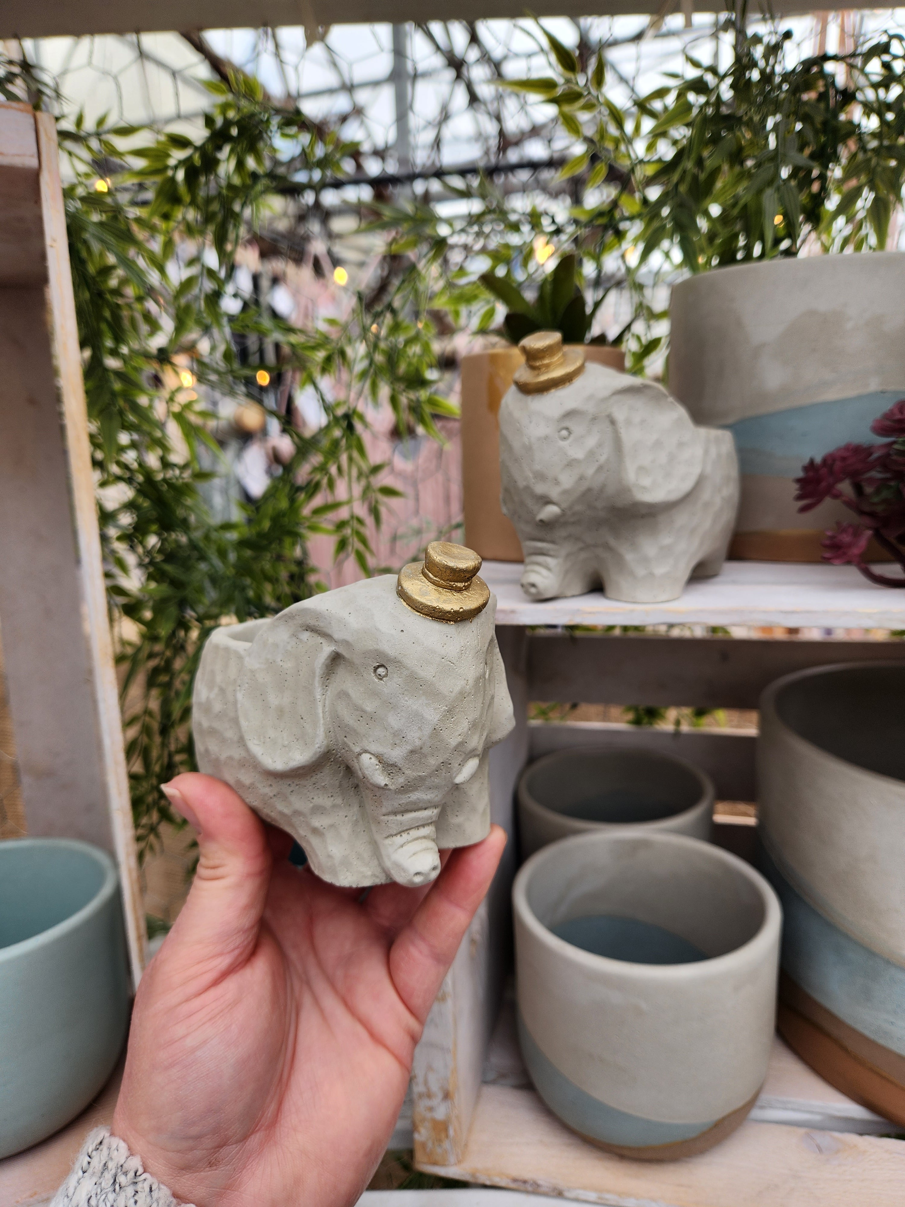 Edward The Elephant – Plant 'er Here